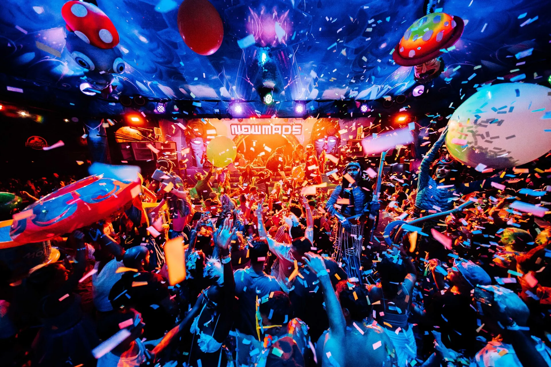 Image 21 of 25 Highlighted Gallery 2024