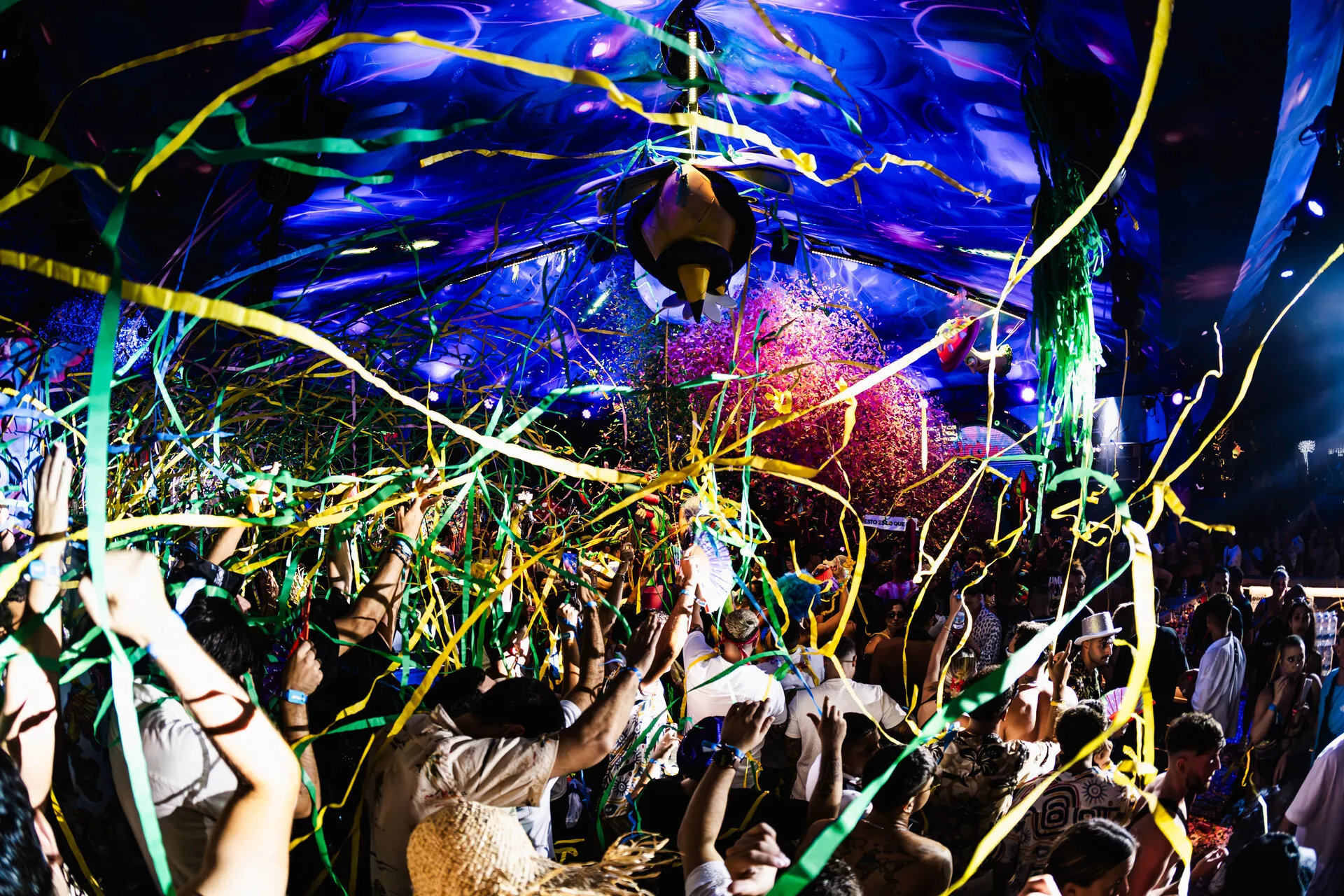 Image 8 of 25 Highlighted Gallery 2024